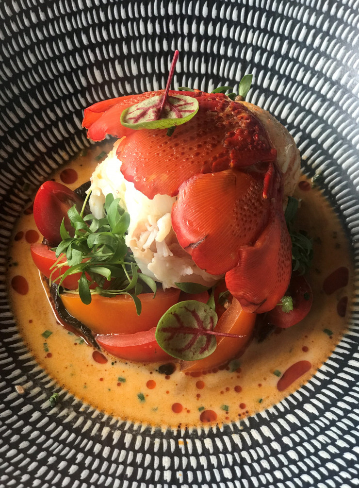 Eat Curious at VISA Wellington on a Plate 2021 » Dish Magazine