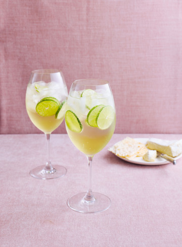 Patrón Paloma » Dish Magazine