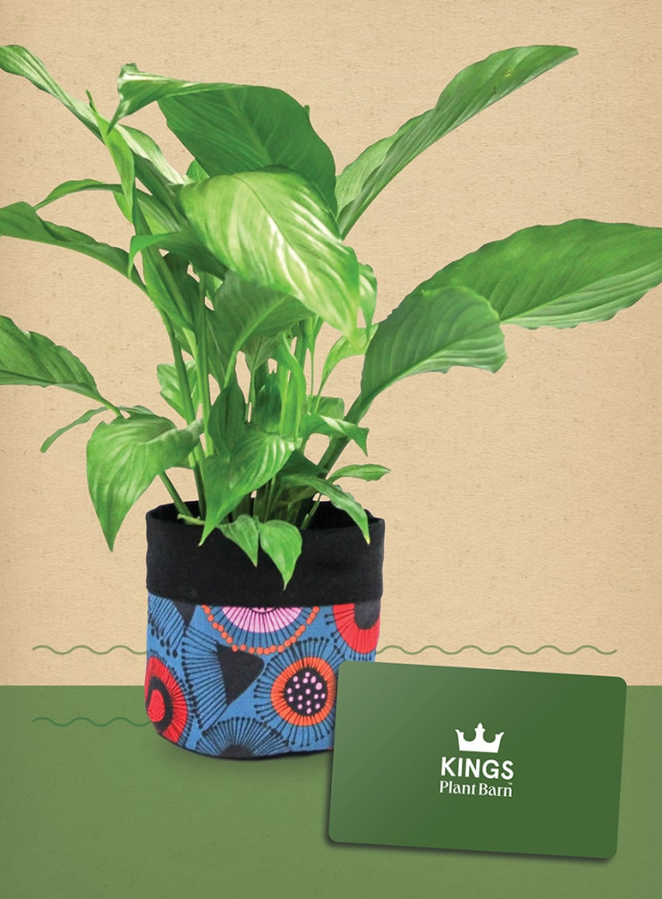 Be in to Win a $200 Kings Plant Barn Stonefields Voucher » Dish Magazine