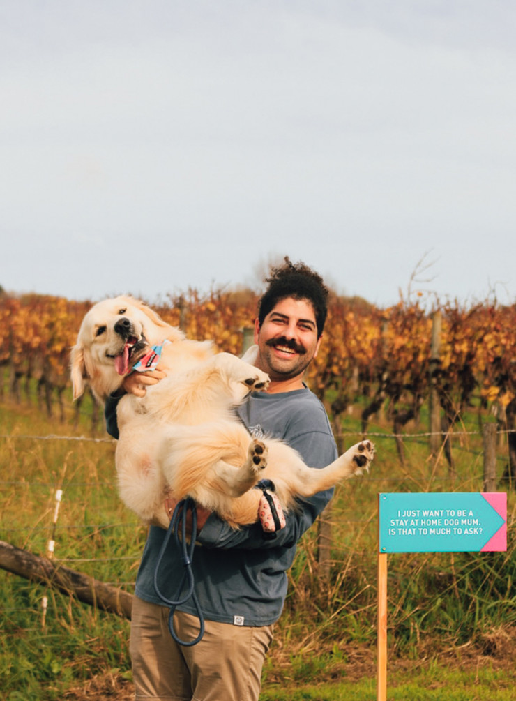 Discover Wine Dogs Festival this April! » Dish Magazine